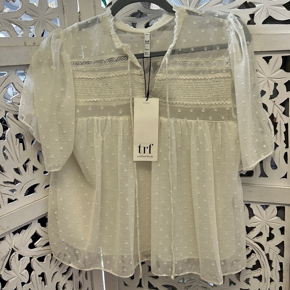Zara | Tops | Nwt Zara Trf Collection Sheer Short Sleeve Blouse Shirt ...